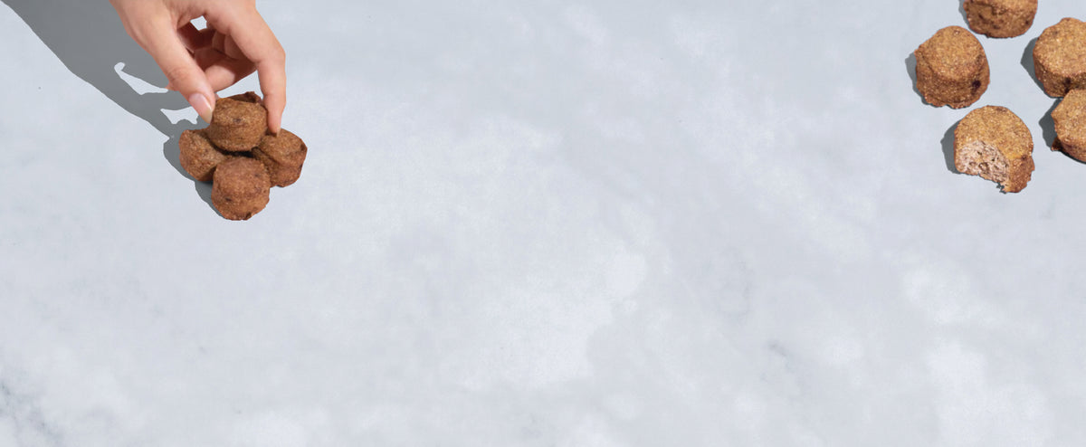 Snack Bites toddler food | Little Bitesize – littlebitesize.com