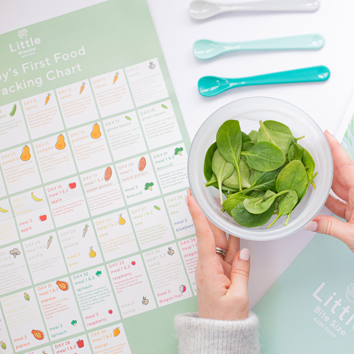 Baby Food Starting Solids Plan | Little Bitesize – littlebitesize.com